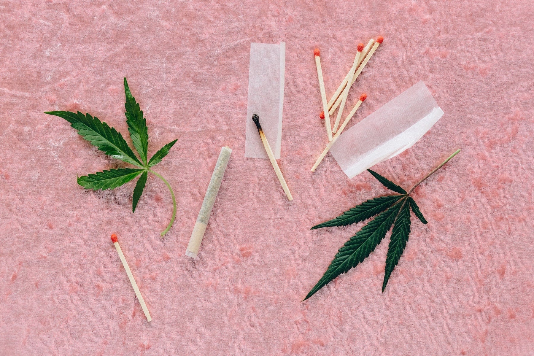 What Does The Shape Of The Cannabis Leaf Mean? - Vessel®